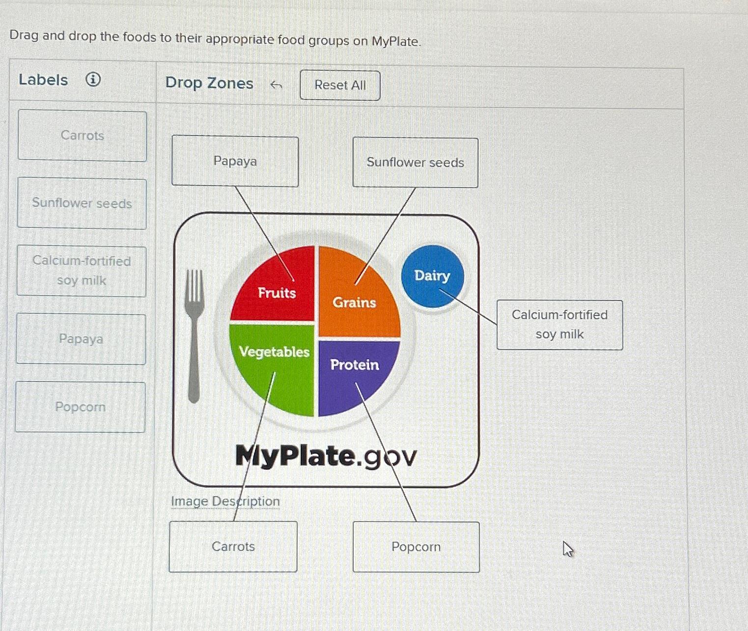 Solved Drag and drop the foods to their appropriate food | Chegg.com