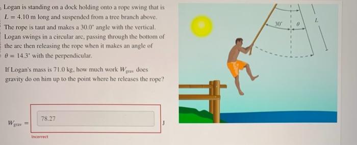 Solved Logan is standing on a dock holding onto a rope swing | Chegg.com