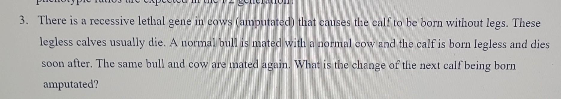 Solved There is a recessive lethal gene in cows (amputated) | Chegg.com