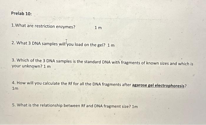 Solved 1.What are restriction enzymes? 1 m 2. What 3 DNA | Chegg.com