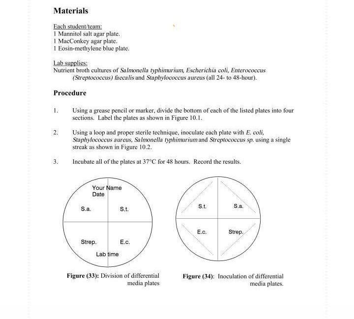 Solved Procedure 1. Using a grease pencil or marker, divide | Chegg.com
