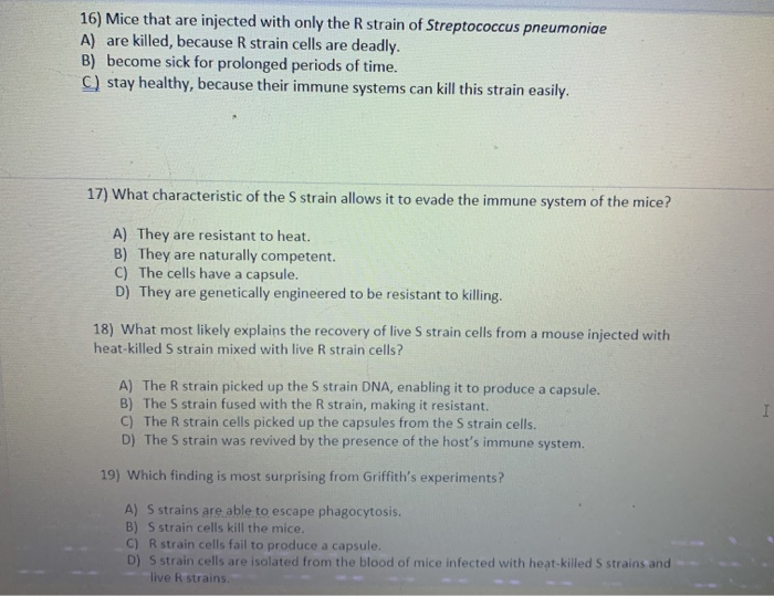 Solved 16) Mice that are injected with only the R strain of | Chegg.com