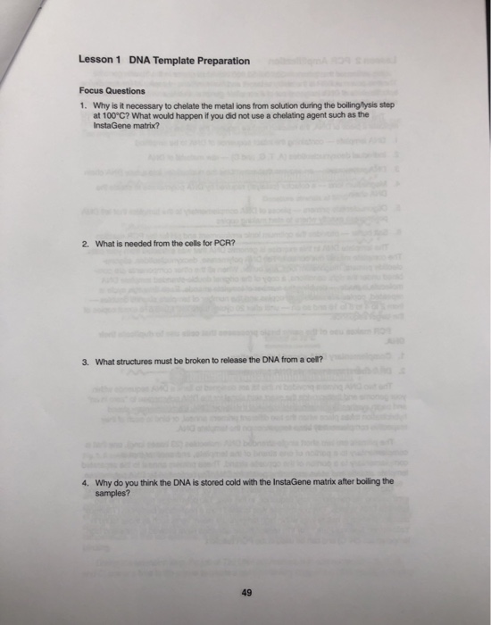 Solved Lesson 1 DNA Template Preparation Focus Questions 1. | Chegg.com