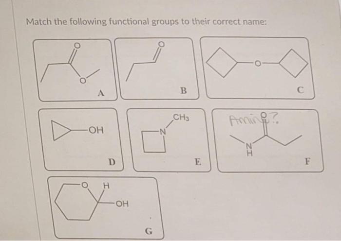 Solved Match the following functional groups to their | Chegg.com