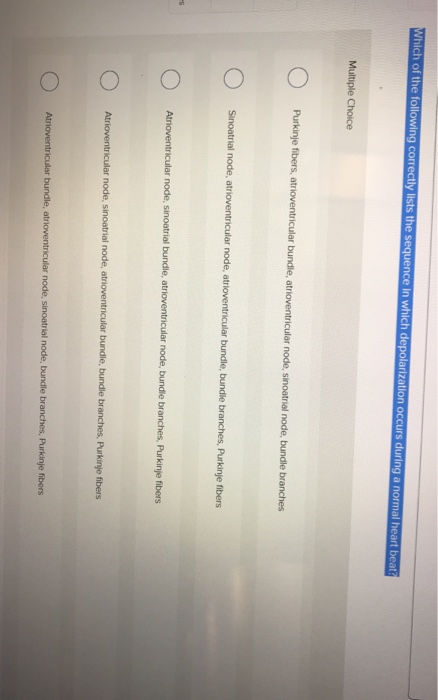 Solved Which of the following correctly lists the sequence | Chegg.com
