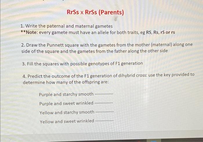 Solved 12 pts Experiment #2: Dihybrid Cross, 11.3 Aim: to | Chegg.com