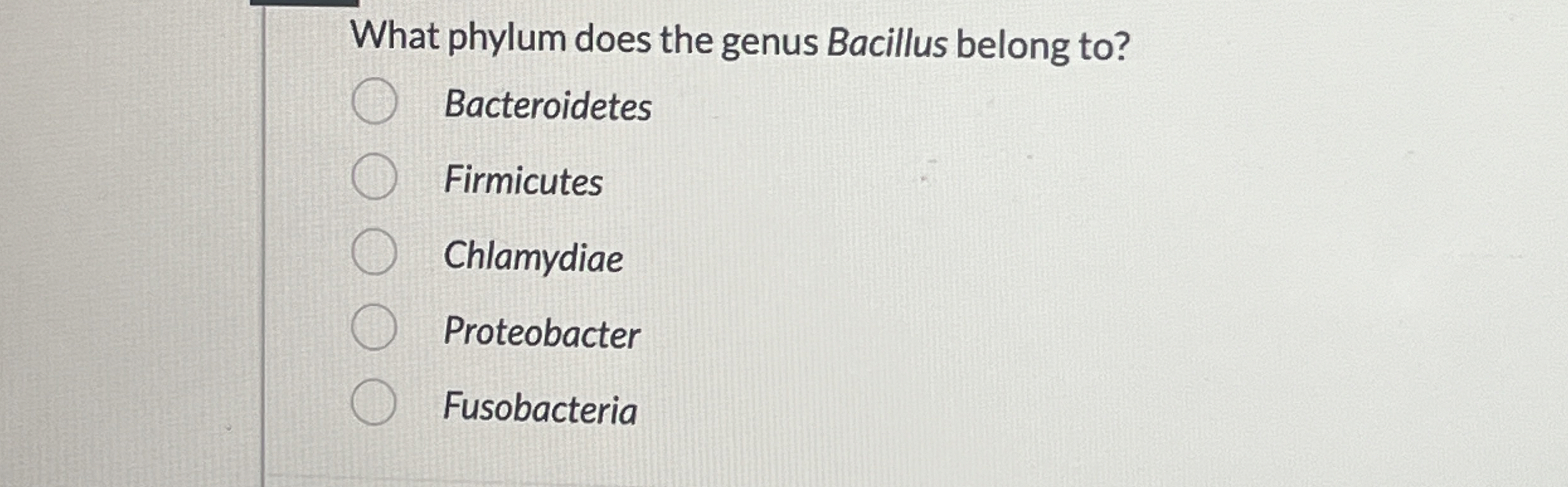 Solved What phylum does the genus Bacillus belong | Chegg.com