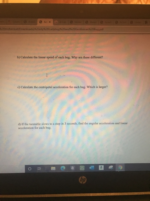 Solved Score: The Ladybug and the Gentleman Bug Name | Chegg.com