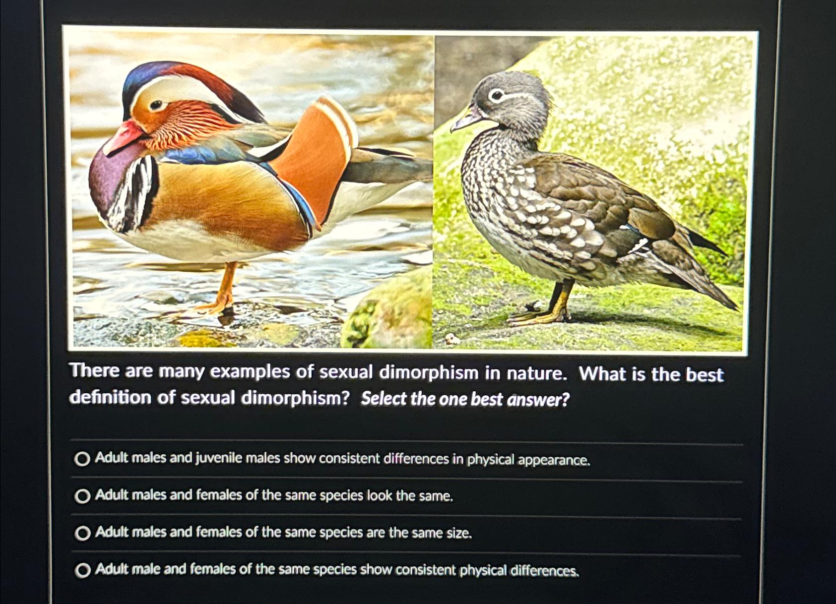 Solved There are many examples of sexual dimorphism in | Chegg.com