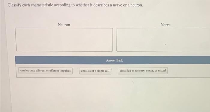 Solved Classify each characteristic according to whether it | Chegg.com Solved Classify each characteristic according to whether it | Chegg.com