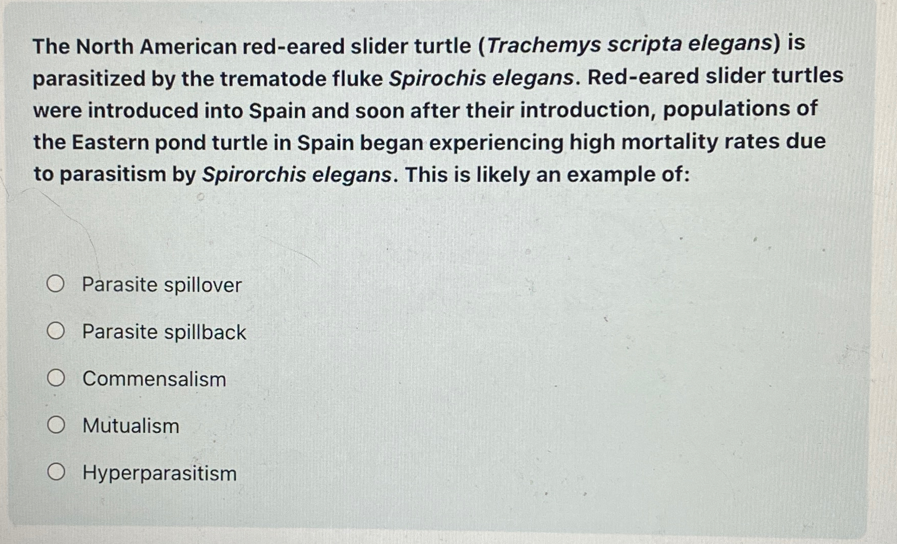 Solved The North American red-eared slider turtle (Trachemys | Chegg.com