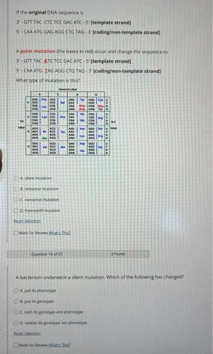 Solved if the original DNA sequence is 3. GIT TAC CTC TCC | Chegg.com