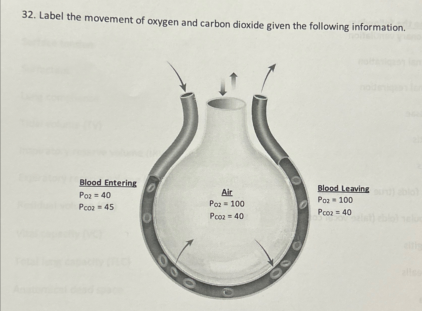 Solved Label the movement of oxygen and carbon dioxide given | Chegg.com