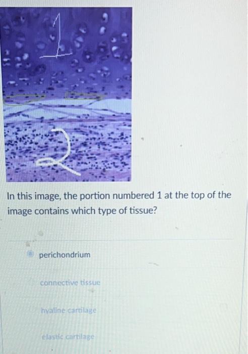 In this image, the portion numbered 1 at the top of | Chegg.com