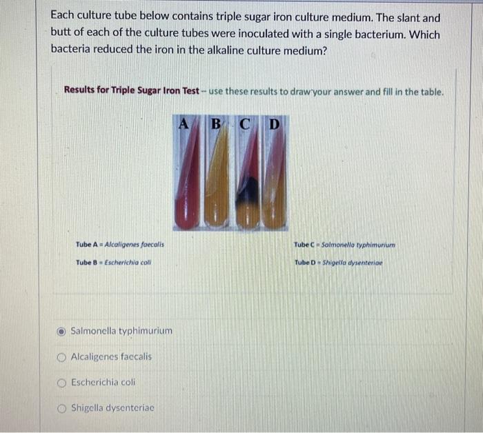 Solved Each culture tube below contains triple sugar iron | Chegg.com