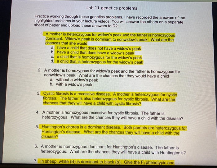 Solved Lab 11 genetics problems Practice working through | Chegg.com
