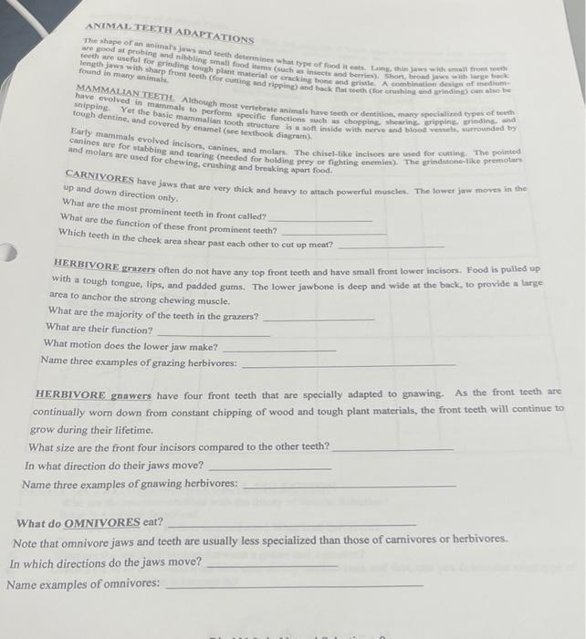 Solved ANIMAL TEETH ADAPTATIONS The shape of an animal's | Chegg.com