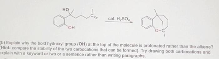 Solved b) Explain why the bold hydroxyl group (OH) at the | Chegg.com