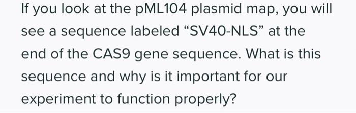 Solved If you look at the pML104 plasmid map, you will see a | Chegg.com