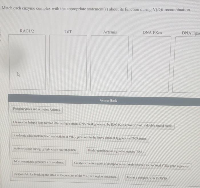 Solved Match each enzyme complex with the appropriate | Chegg.com