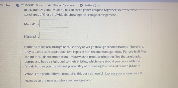 Solved In fruit flies, the genes black body (b), dumpy wings | Chegg.com