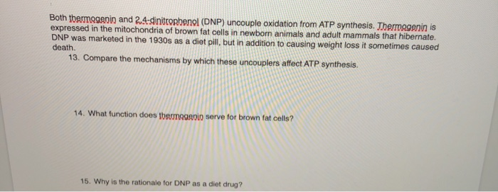 Solved Both termogenin and 2.4-dinitrorbenol (DNP) uncouple | Chegg.com