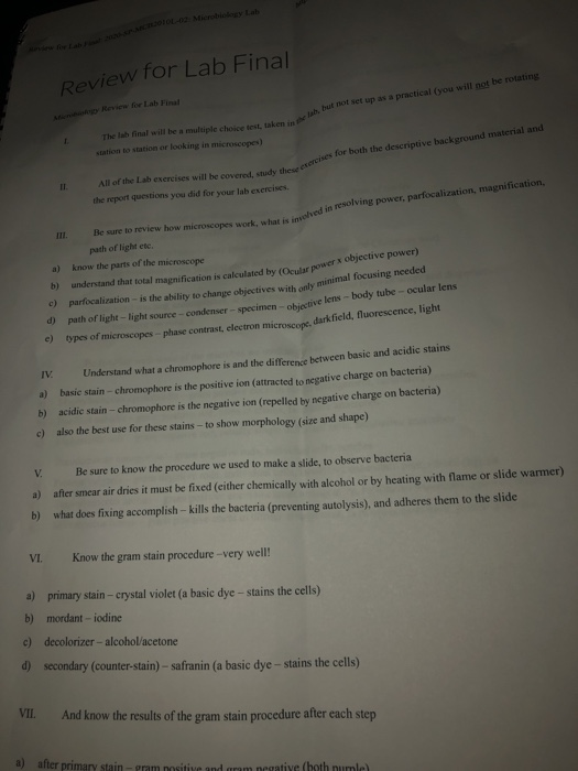 Review for Lab Final sh, but not set up as a | Chegg.com