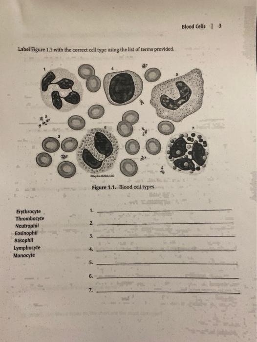Solved Blood Cells | 3 Label Figure 1.1 with the correct | Chegg.com