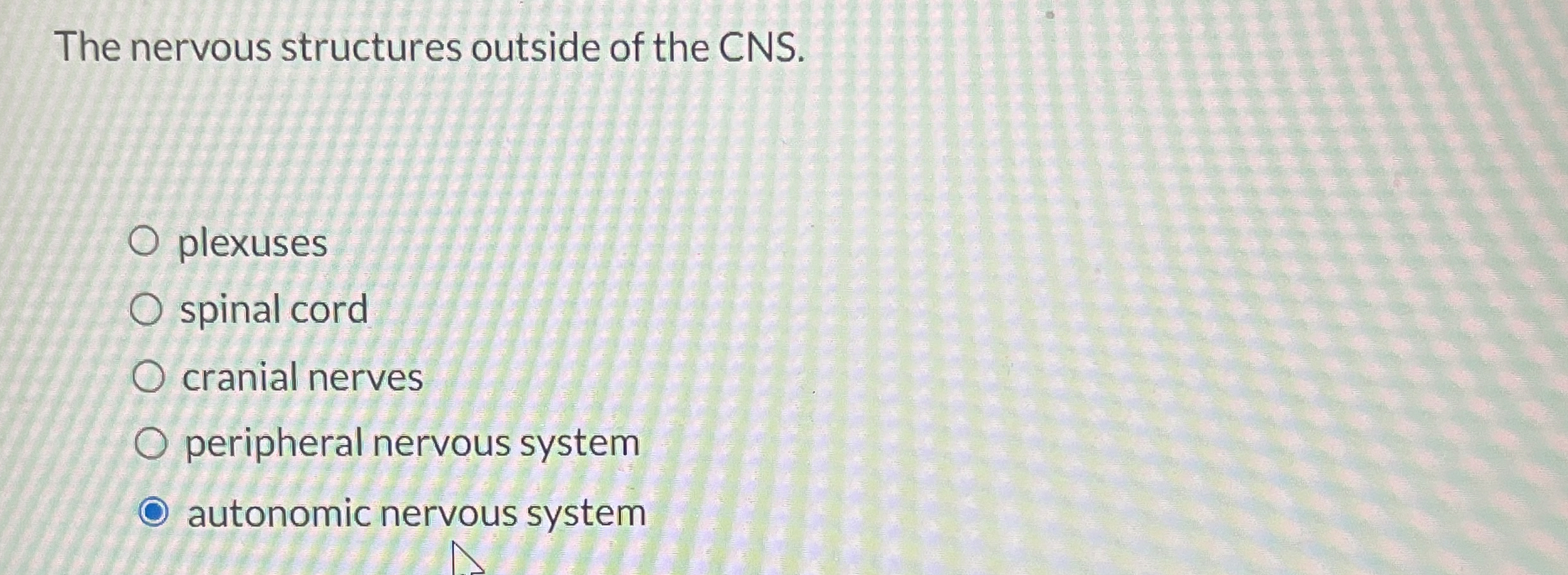 Solved The nervous structures outside of the | Chegg.com