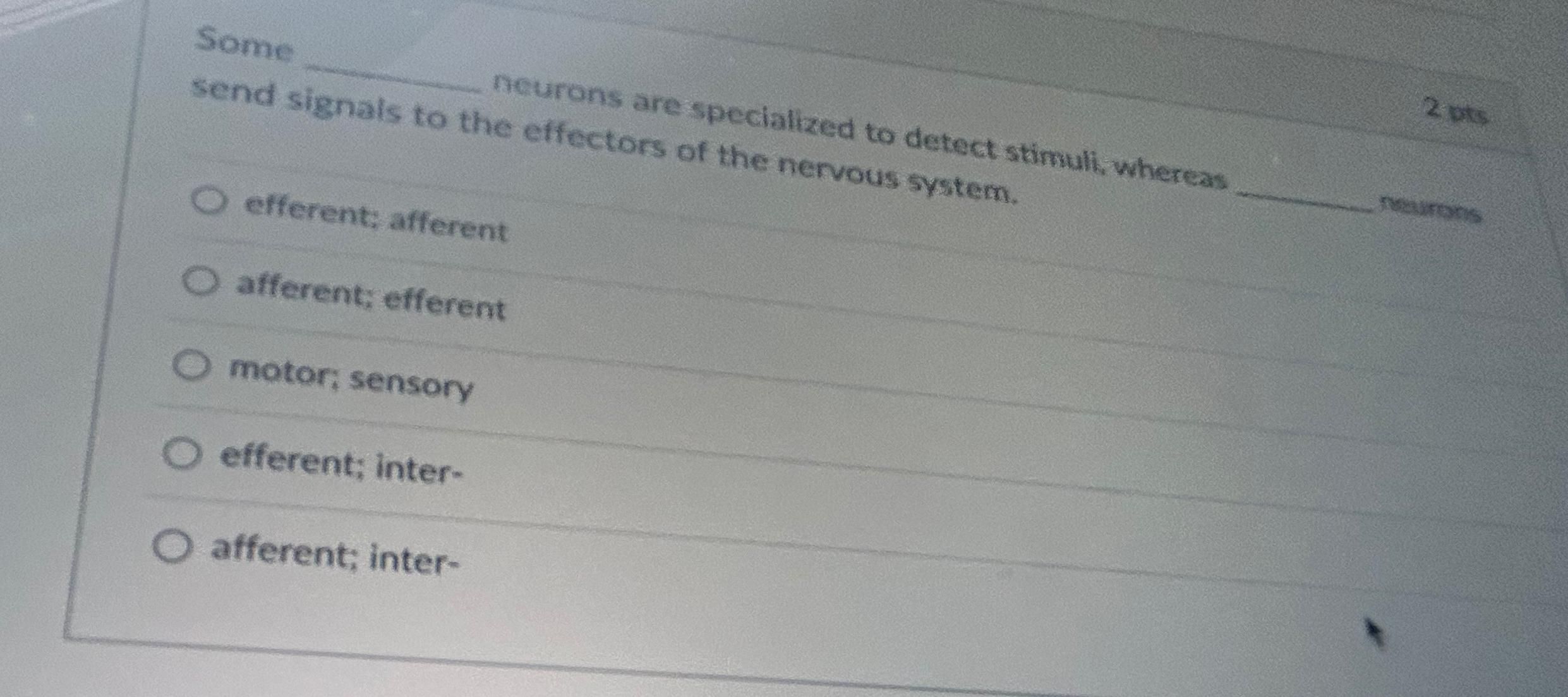 Solved Some neurons are specialized to detect stimuli, | Chegg.com