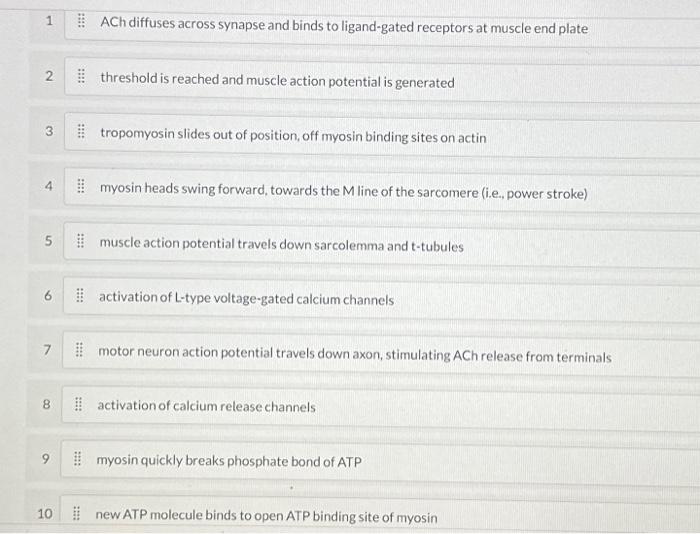 Solved Arrange the steps of muscle excitationand contraction | Chegg.com