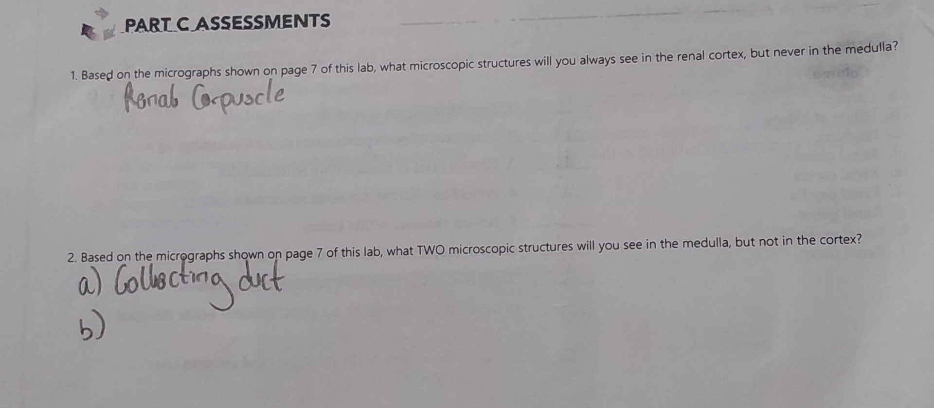 Solved PART C ASSESSMENTSBased on the micrographs shown on | Chegg.com