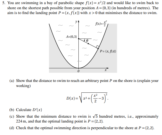 You are swimming in a bay of parabolic shape f(x)=x22 | Chegg.com