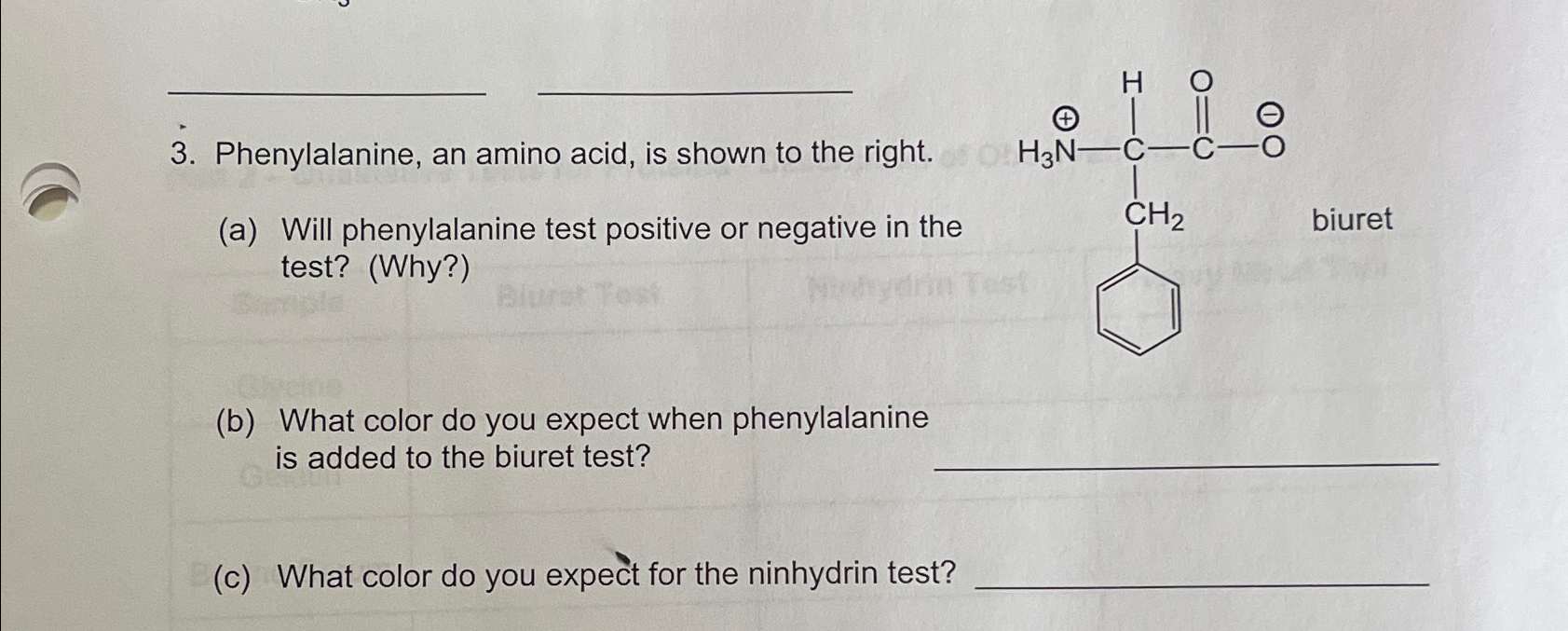 Solved Phenylalanine, an amino acid, is shown to the | Chegg.com