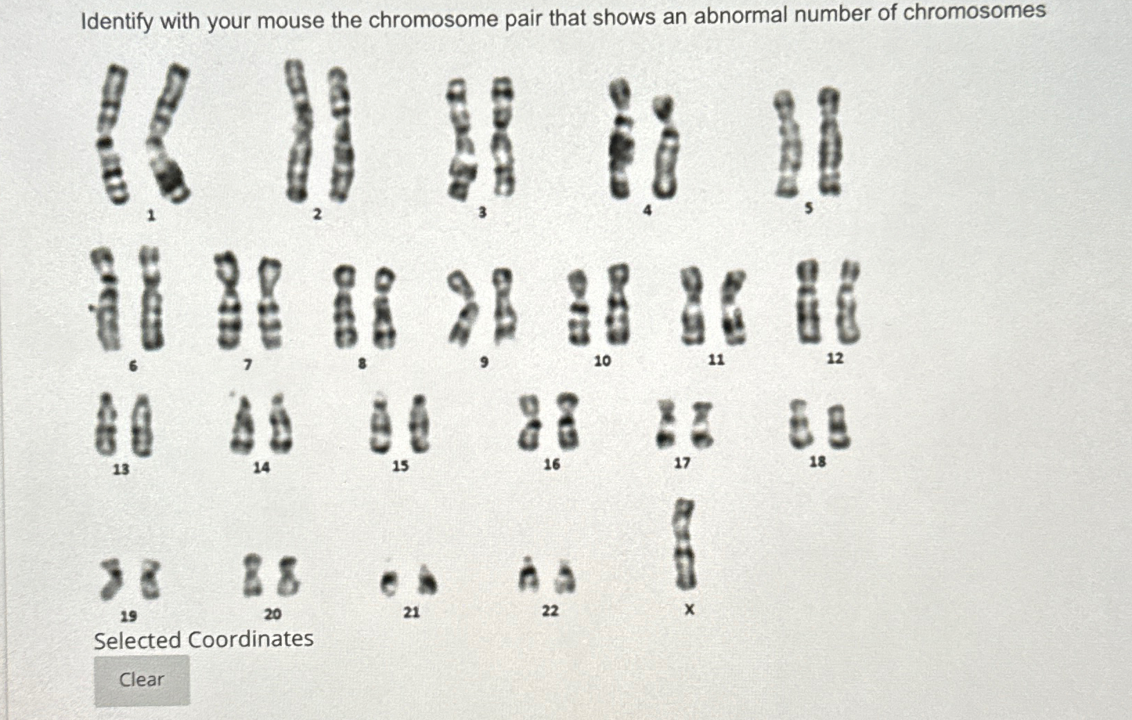 Solved Identify with your mouse the chromosome pair that | Chegg.com