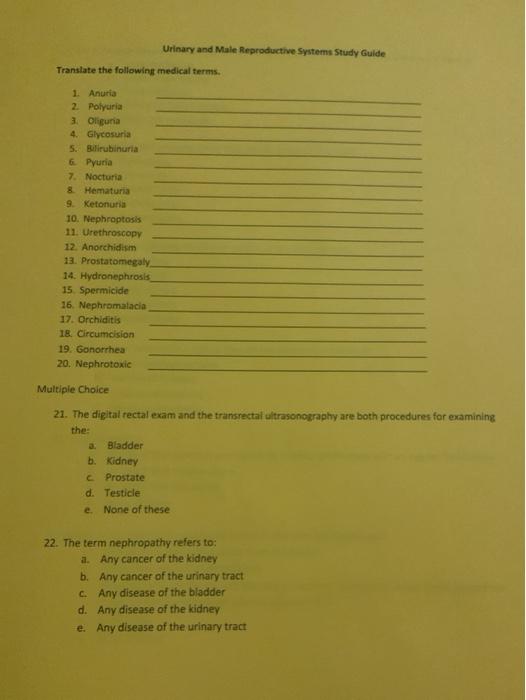 Solved Urinary and Male Reproductive Systems Study Guide | Chegg.com