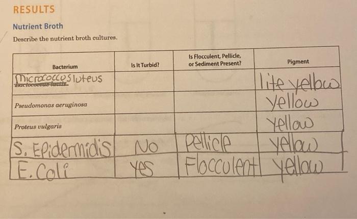 Solved RESULTS Nutrient Broth Describe the nutrient broth | Chegg.com