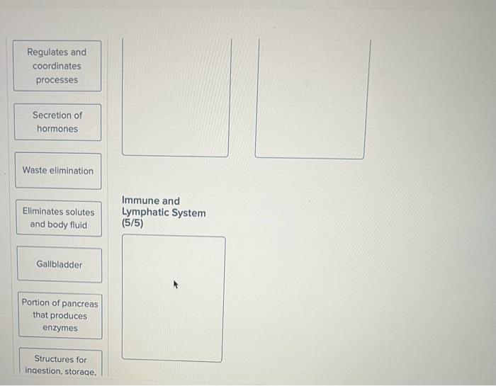 Solved Drag and drop each characteristic to the correct bodv | Chegg.com