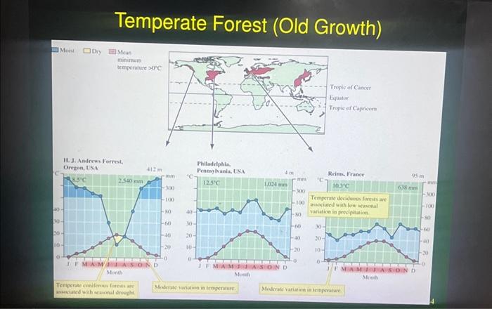 Temperate Forest (Old Growth) | Chegg.com