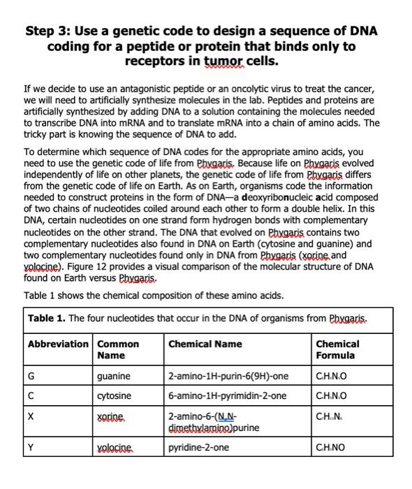 Step 3: Use a genetic code to design a sequence of | Chegg.com