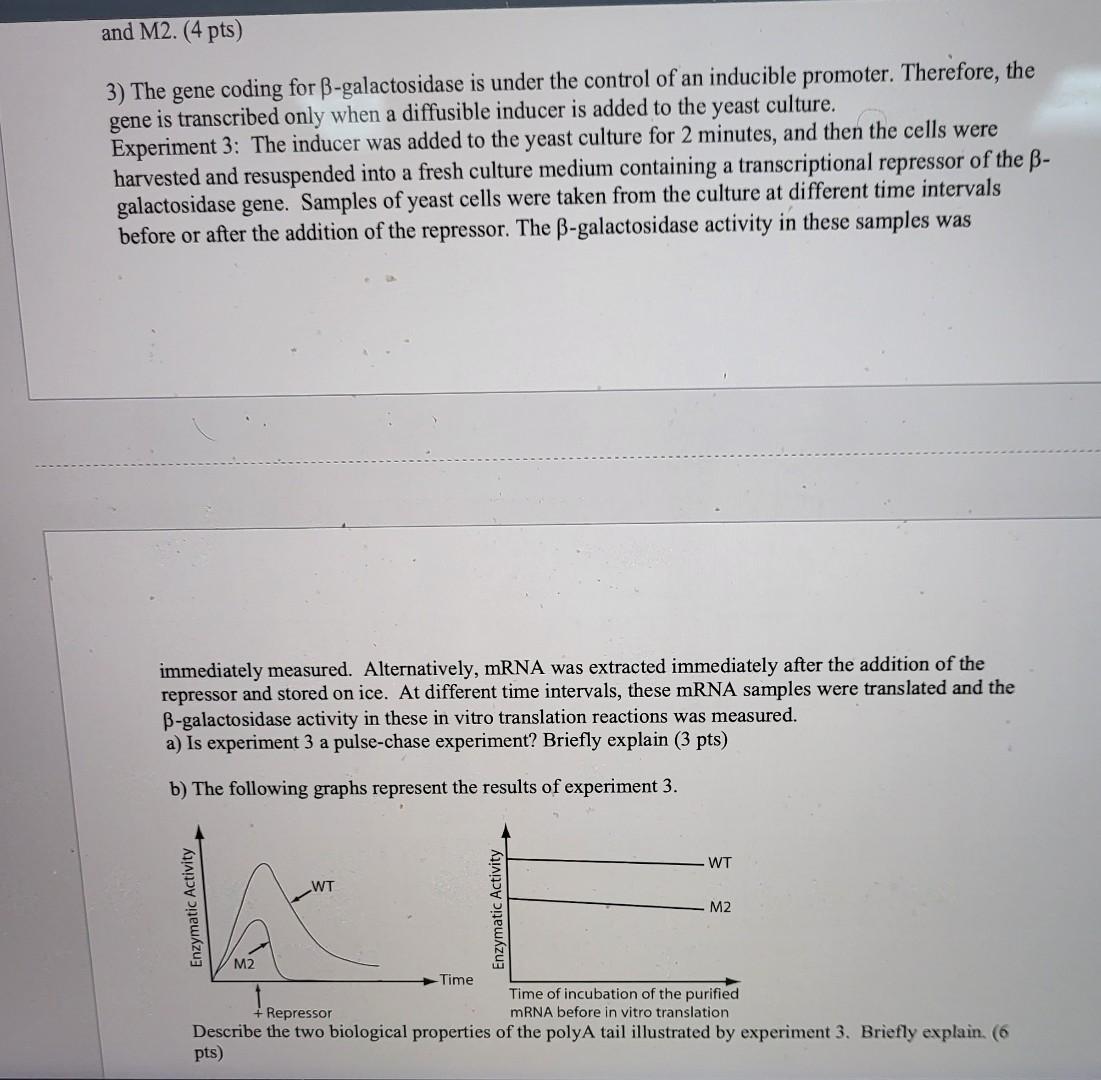 Solved The following diagram represents the organization of | Chegg.com