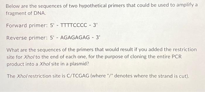Solved Below are the sequences of two hypothetical primers | Chegg.com