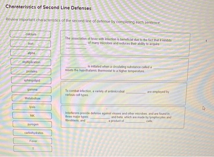 Solved Review important characteristics of second line of | Chegg.com