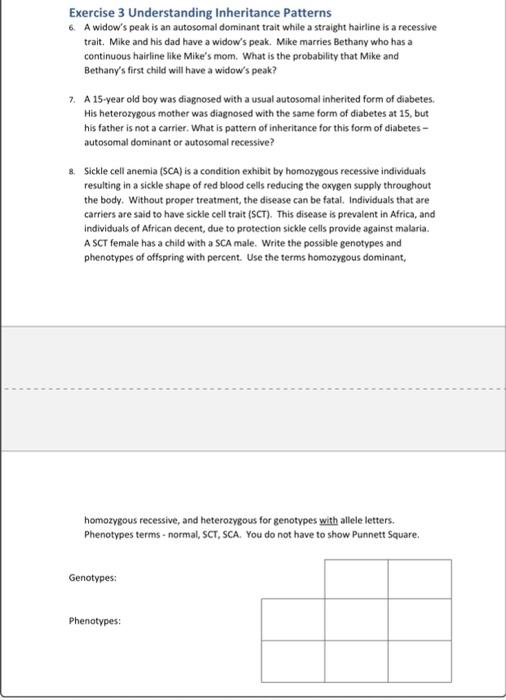Solved Exercise 3 Understanding Inheritance Patterns 6 A | Chegg.com