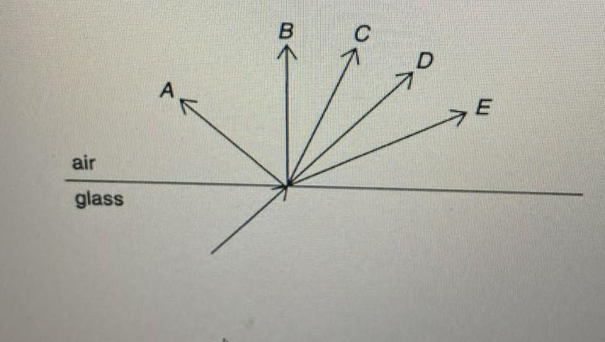 Solved Q-10 A radioactive sample with a half-life of 25 days | Chegg.com
