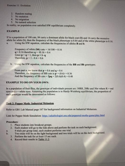 Exercise 11: Evolution Task 1: Hardy Weinberg | Chegg.com