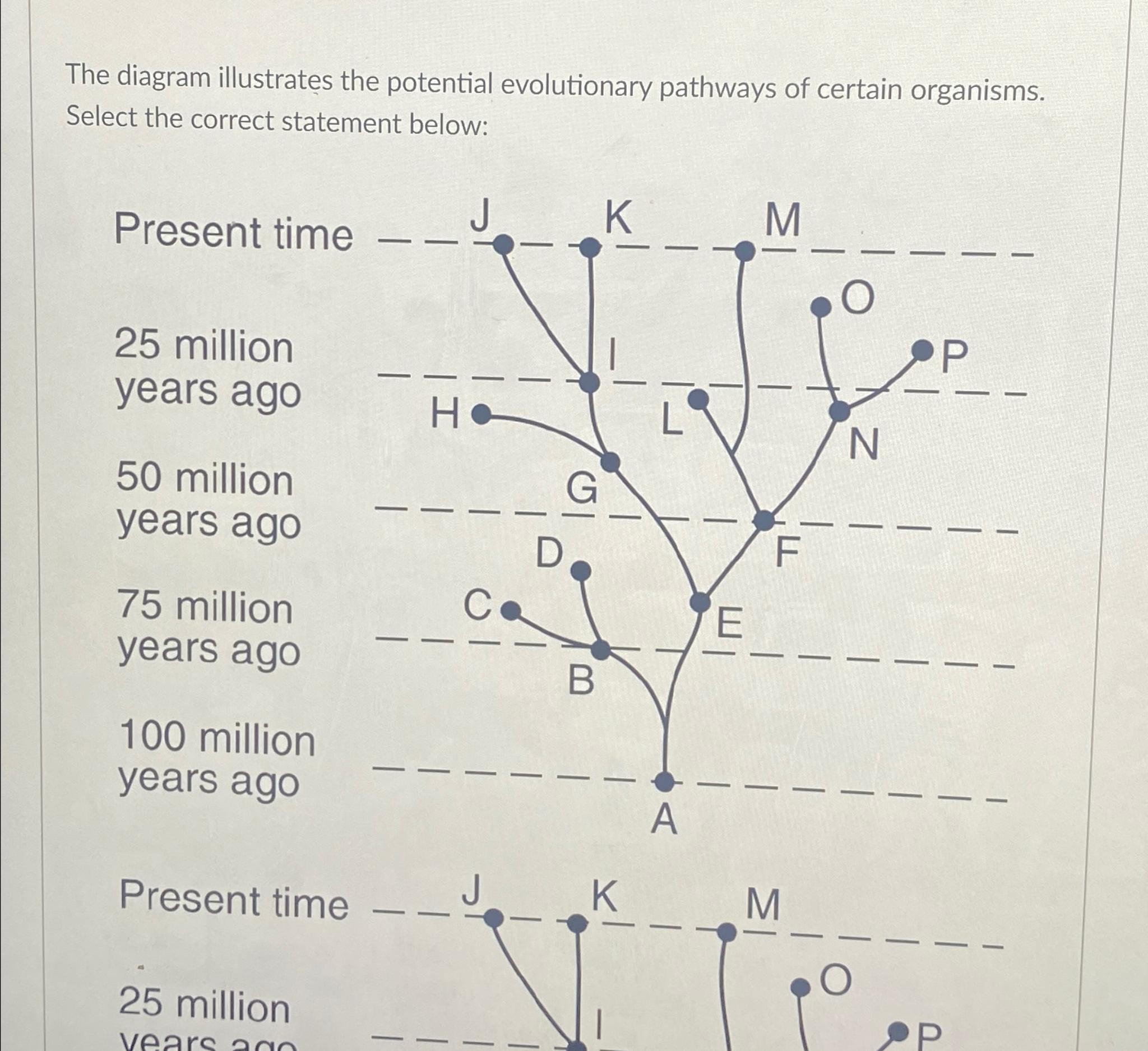 Solved The diagram illustrates the potential evolutionary | Chegg.com