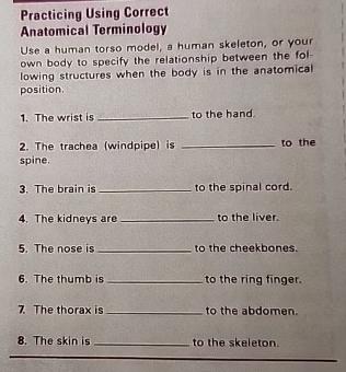 Solved Practicing Using CorrectAnatomical TerminologyUse a | Chegg.com