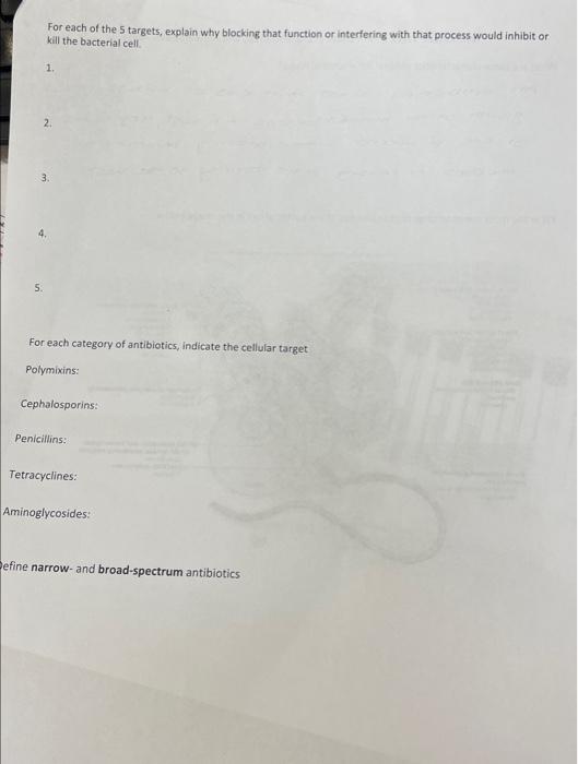 Solved Fill in the most common targets of antibiotics in the | Chegg.com