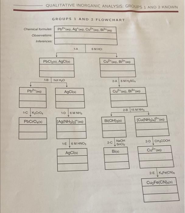 QUALITATIVE INORGANIC ANALYSIS: GROUPS 1 AND 2 KNOWN | Chegg.com